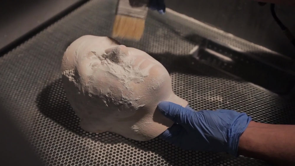 Video: A DNA portrait from a single hair