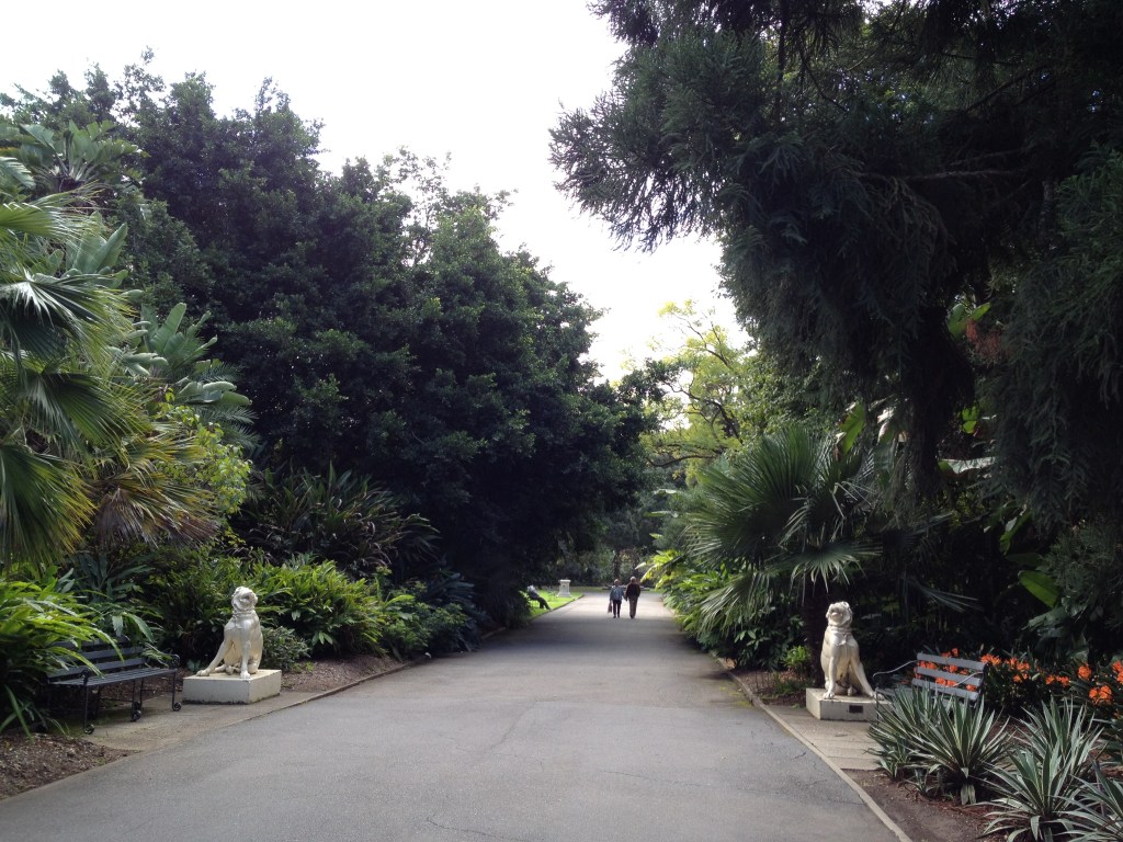 Adelaide, Australia, in pictures: A native’s favorite sights (and sounds)