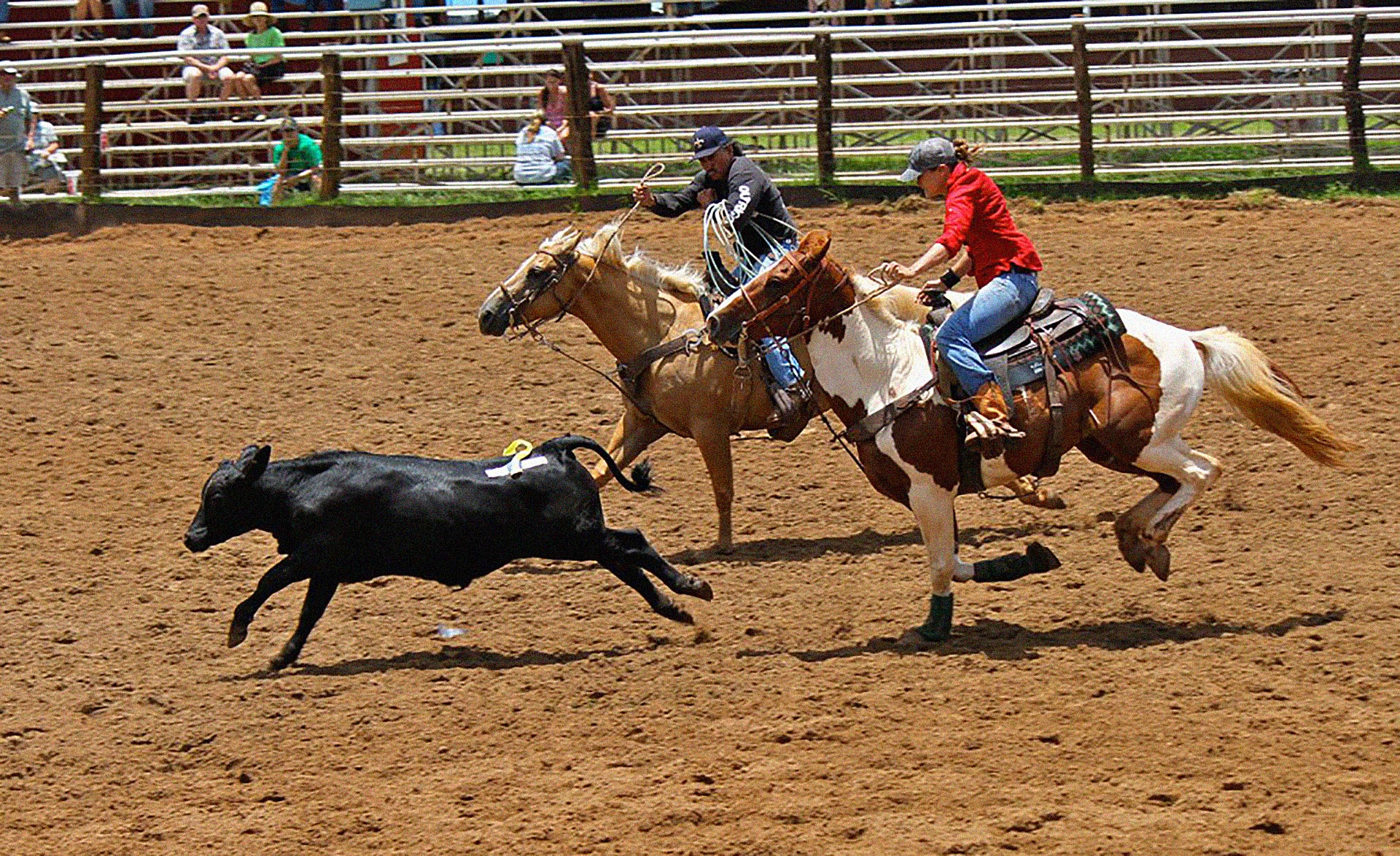 The last of the Hawaiian cowboys
