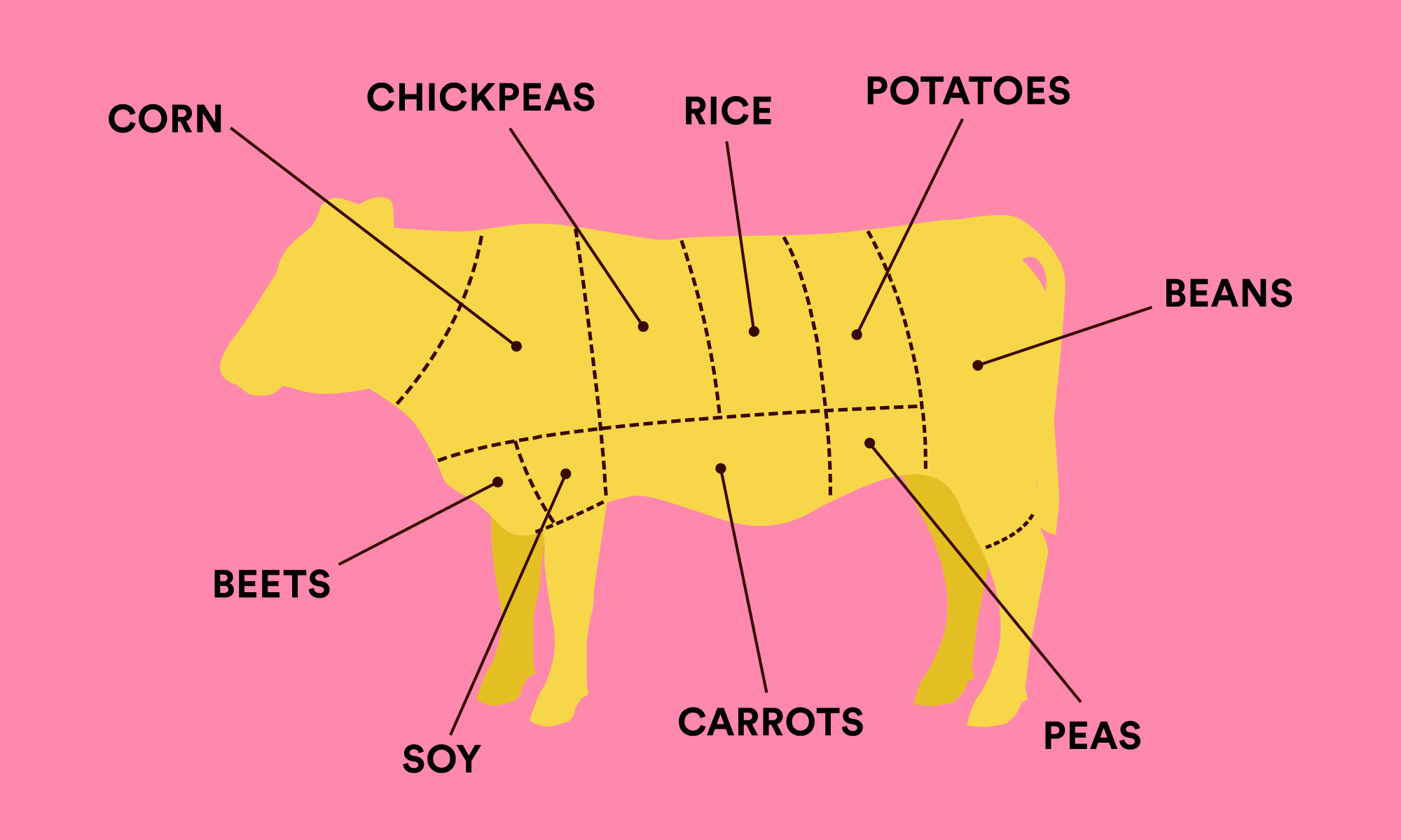 Meat, deconstructed