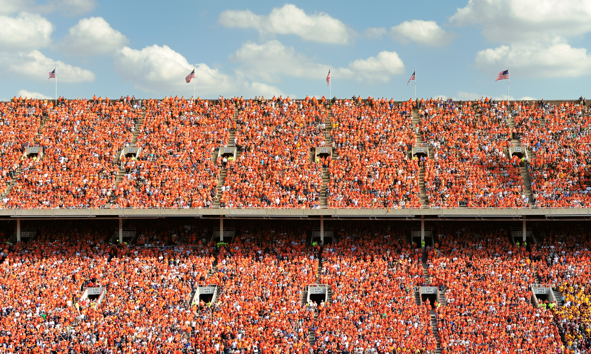 Why humans run the world