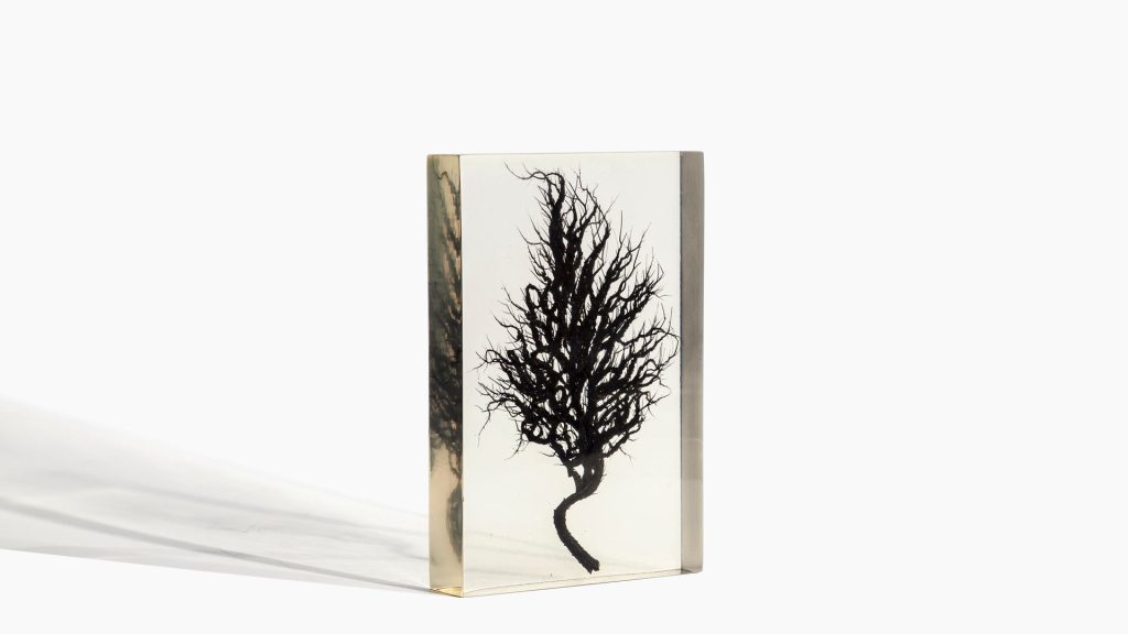 Gallery: Dustin Yellin’s resin and glass megaworks