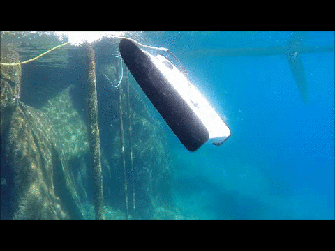 4 ways to get people to care about the ocean