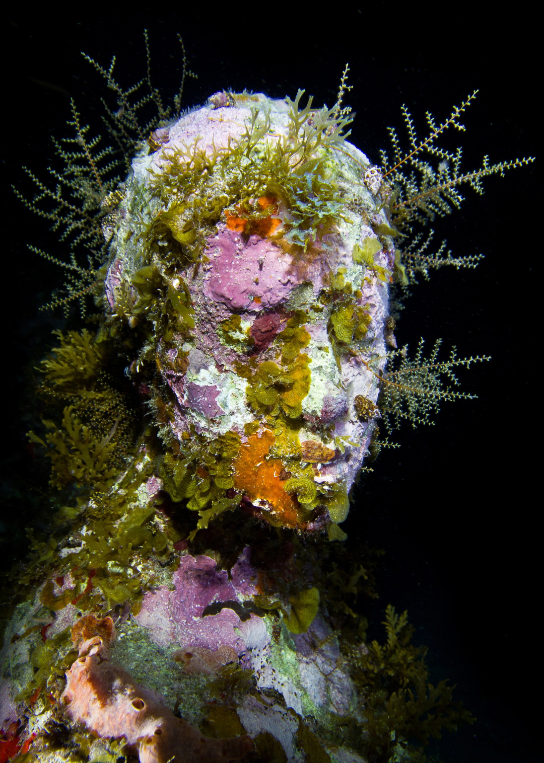 Gallery: The sculpture garden at the bottom of the sea
