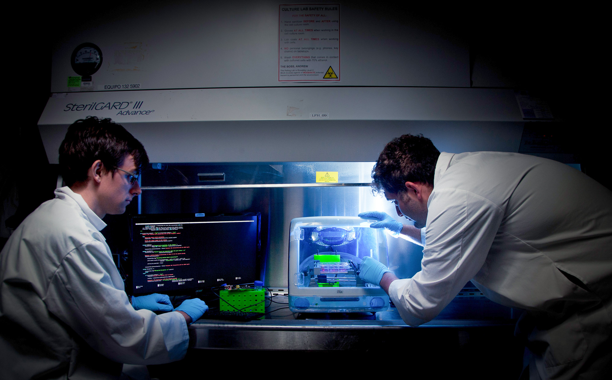 A promising way to grow body parts … using an apple