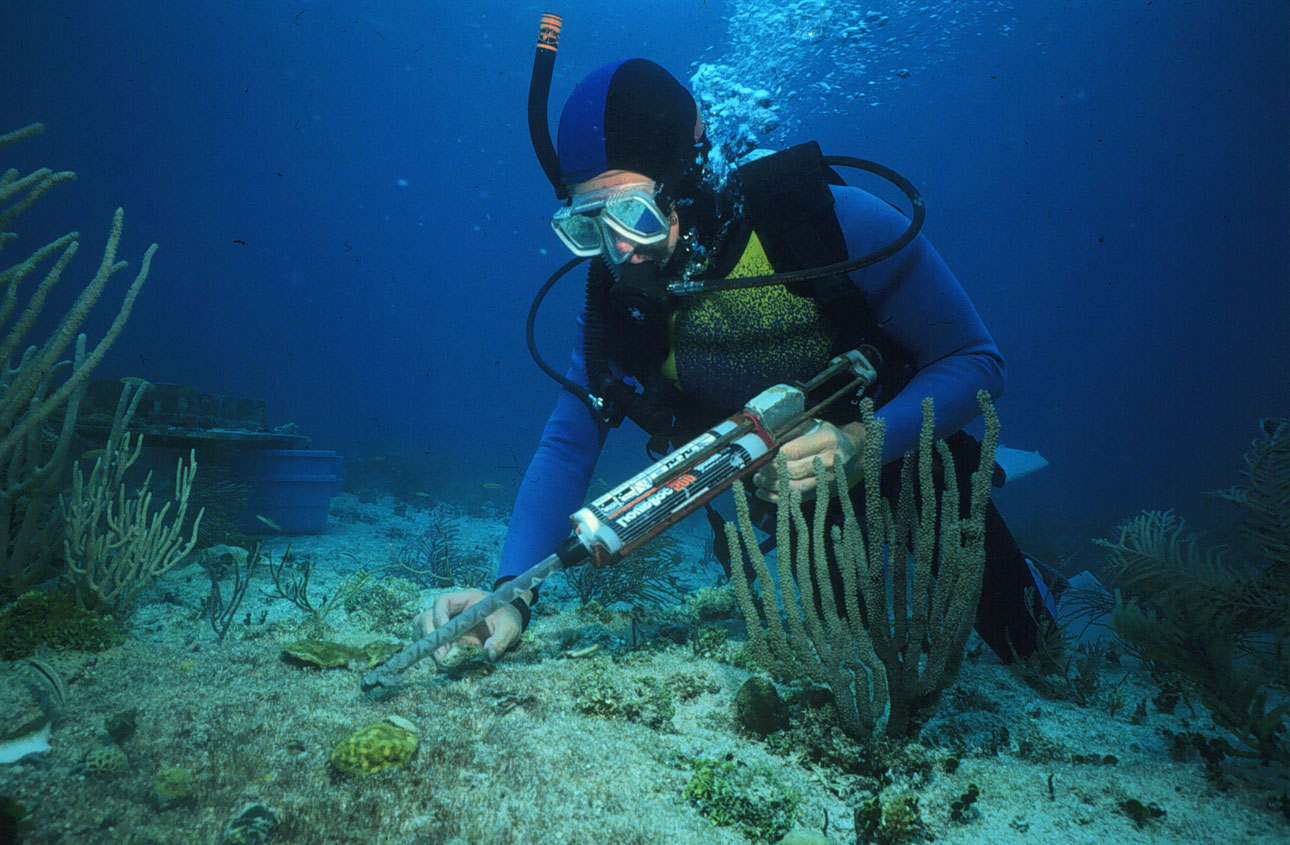5 reasons it might be OK to be optimistic about our oceans
