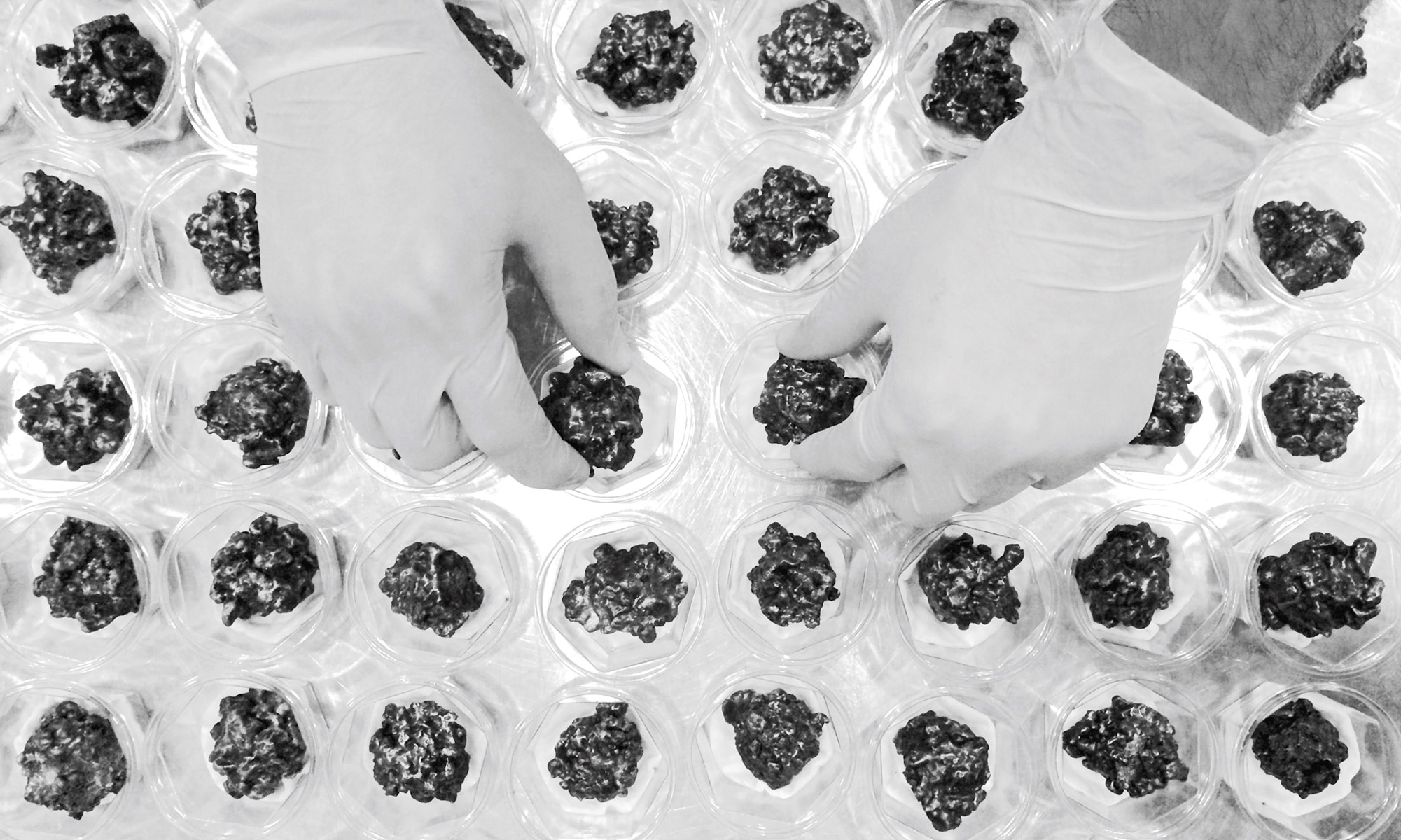 The absurd challenge of cooking a (delicious) three-course meal in space