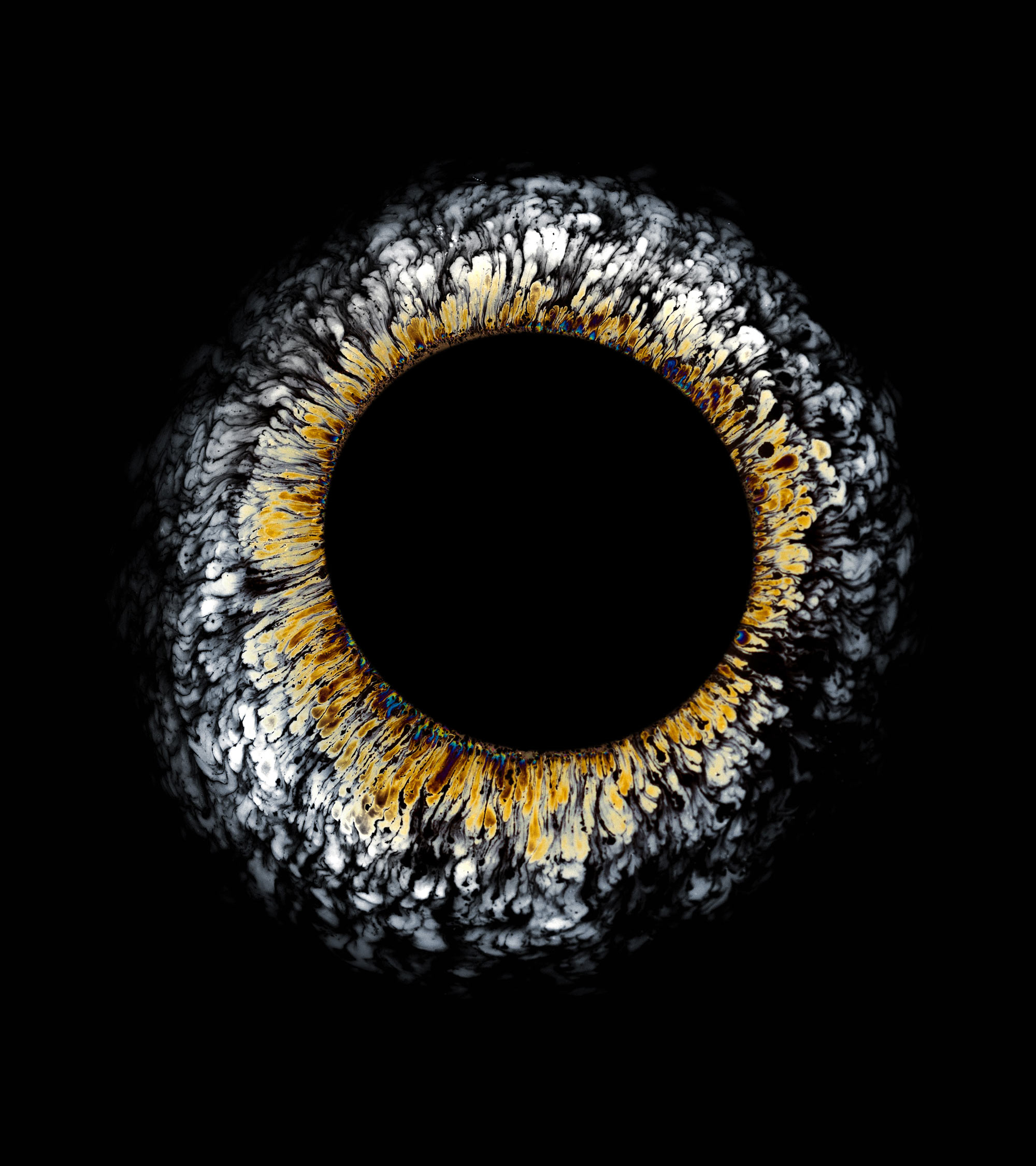 Gallery: The beauty of a thin film of oil