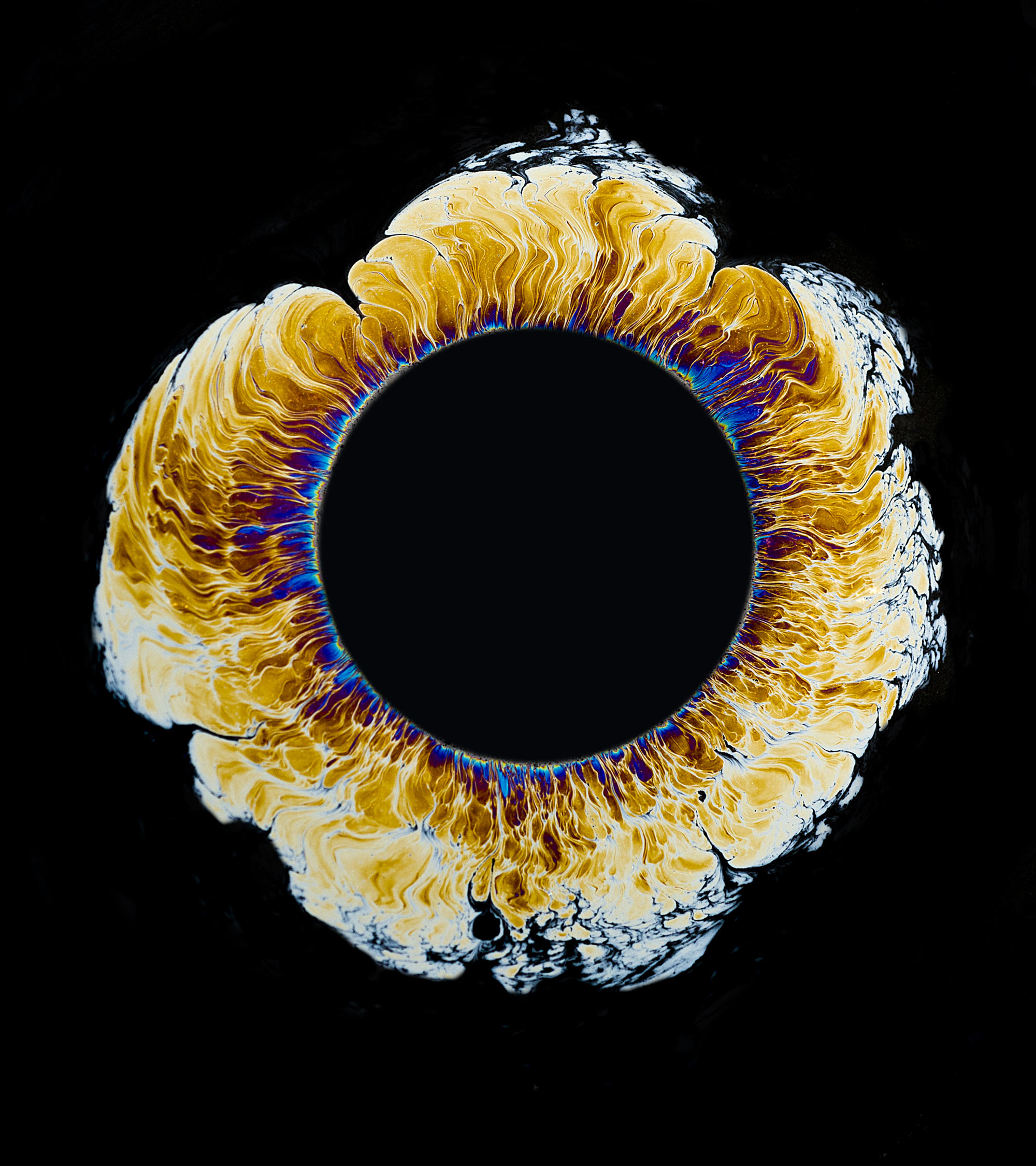 Gallery: The beauty of a thin film of oil
