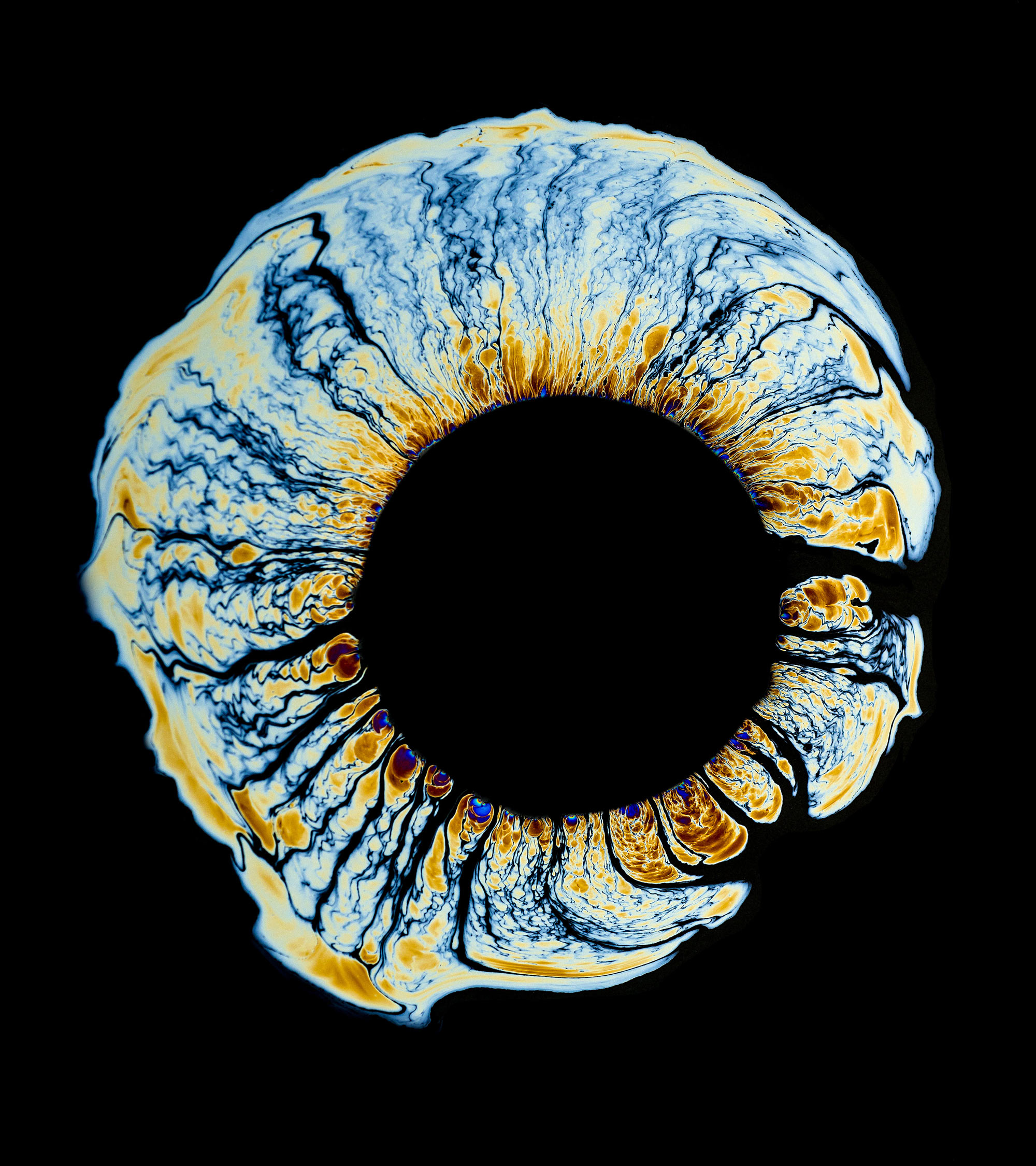 Gallery: The beauty of a thin film of oil