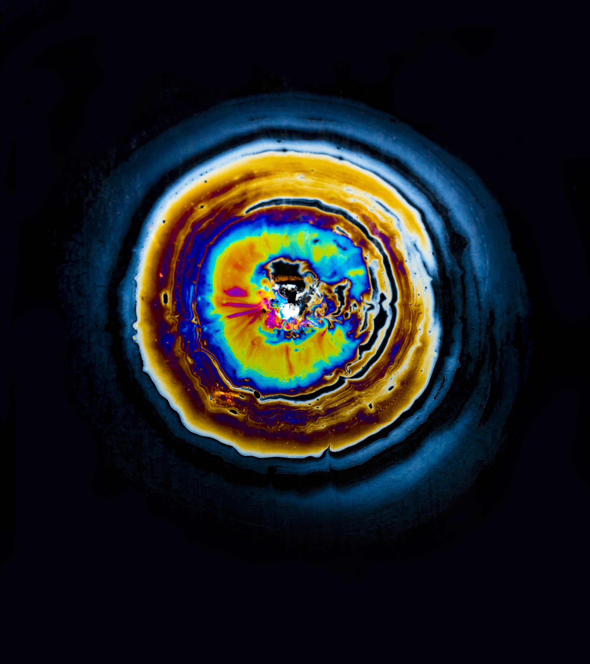 Gallery: The beauty of a thin film of oil