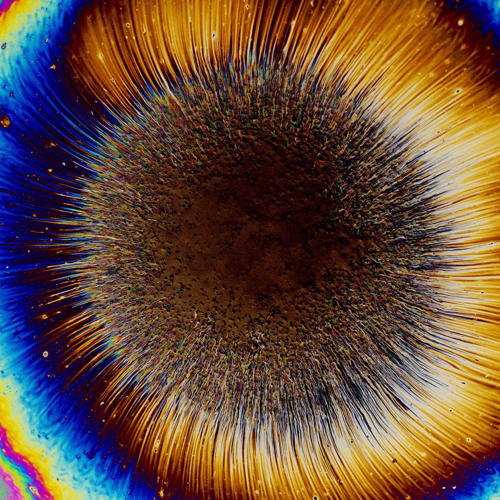 Gallery: The beauty of a thin film of oil