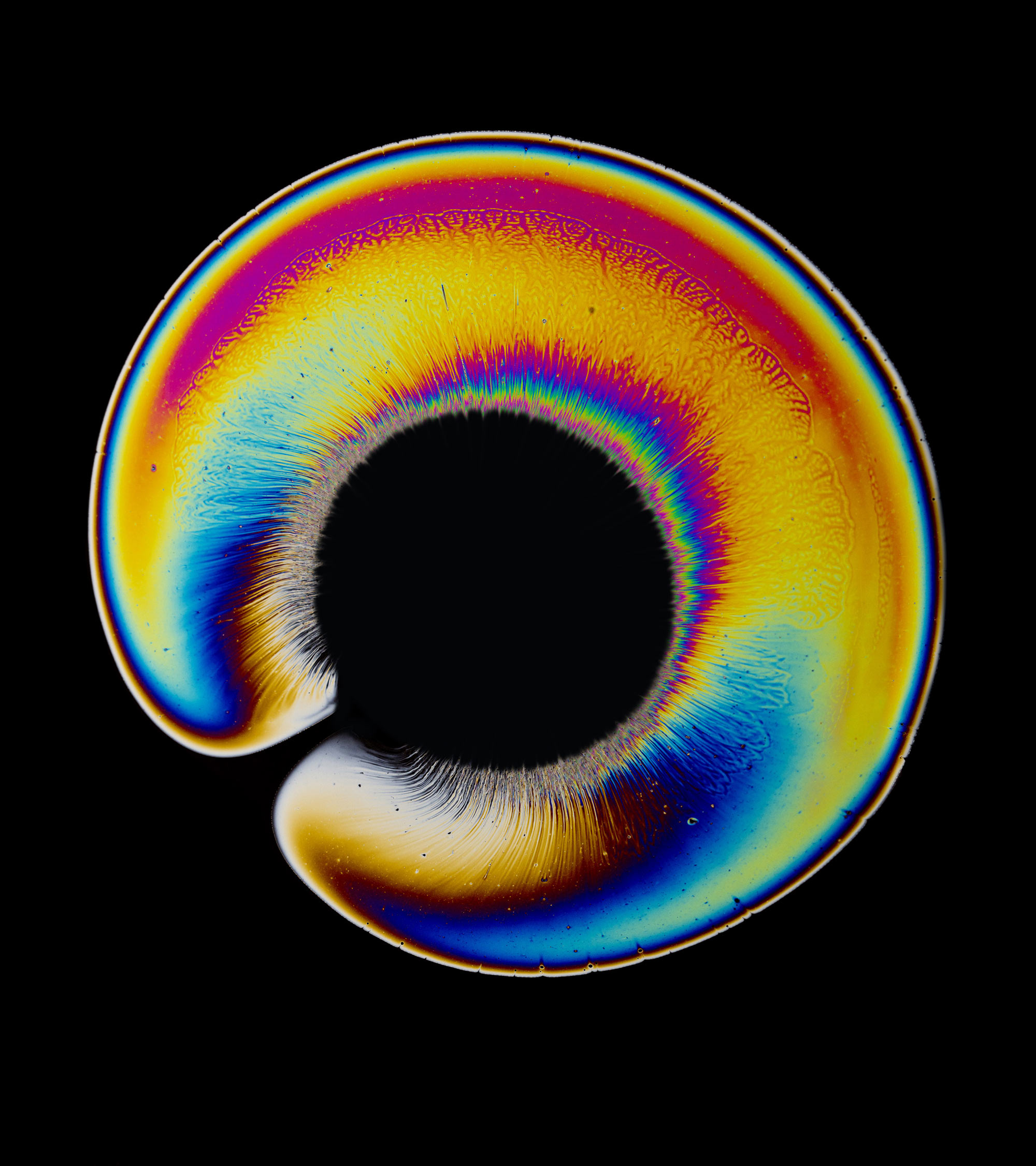 Gallery: The beauty of a thin film of oil