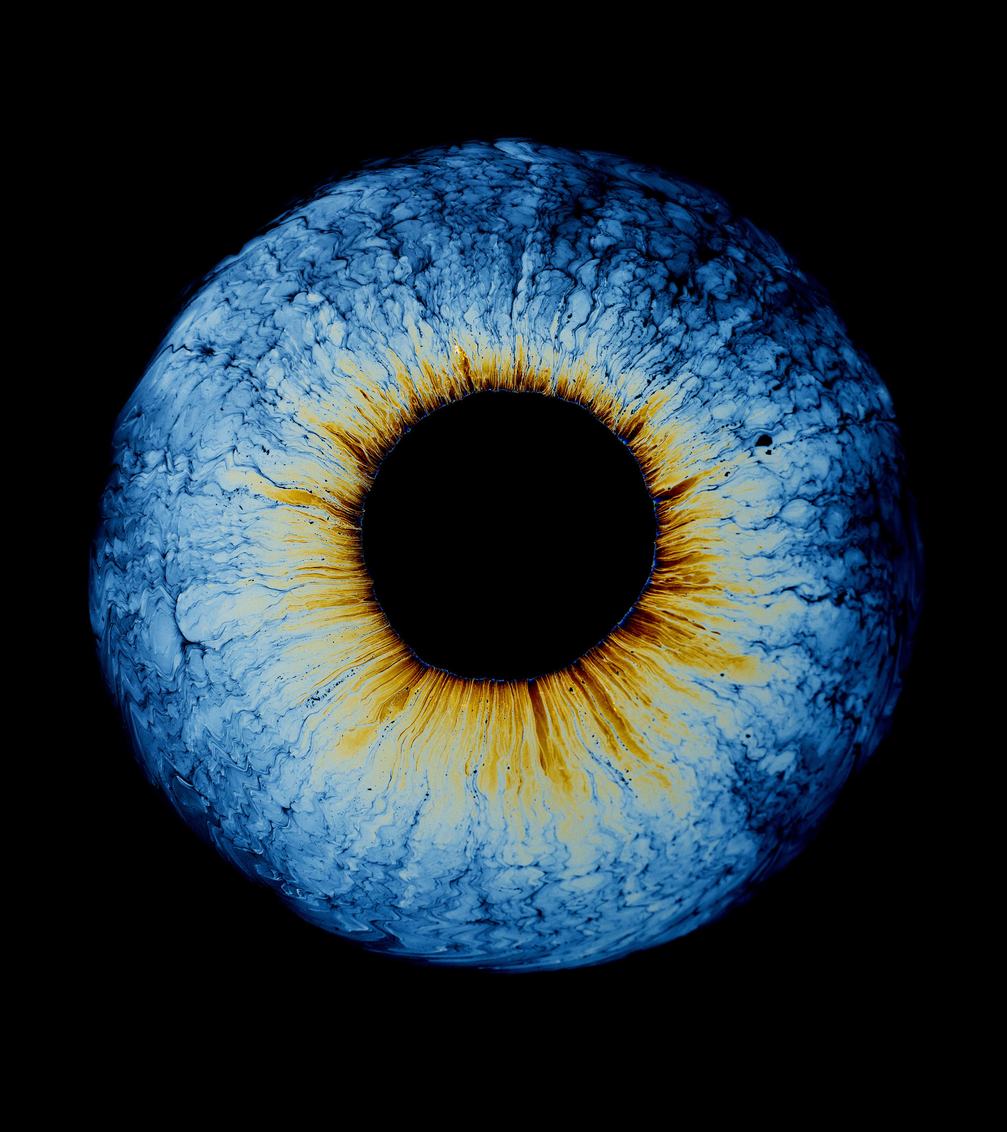 Gallery: The beauty of a thin film of oil
