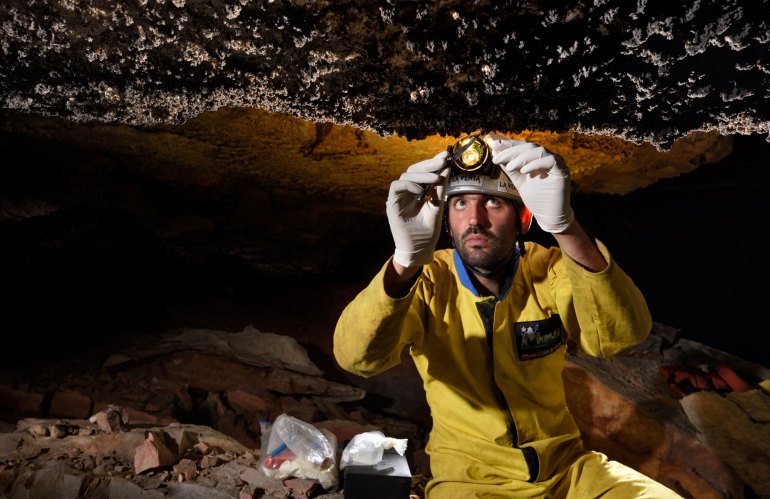 Deep in an ancient cave … an unexpected form of life