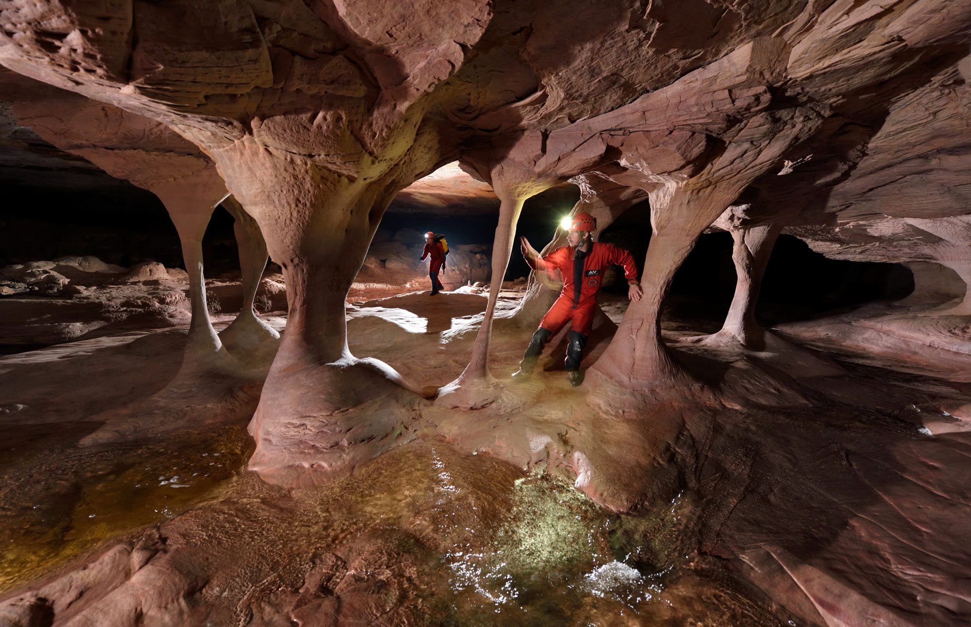 Deep in an ancient cave … an unexpected form of life