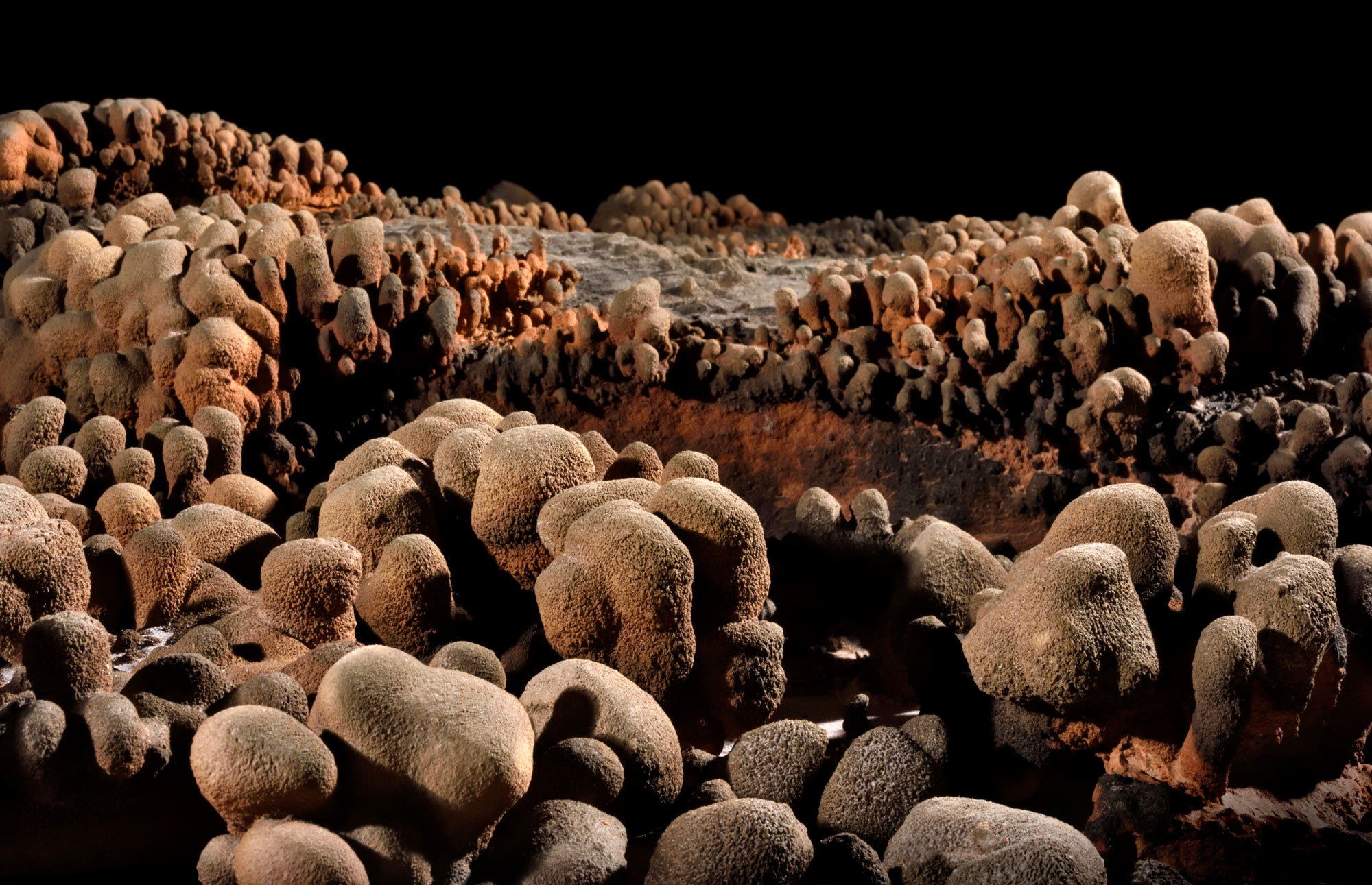 Deep in an ancient cave … an unexpected form of life