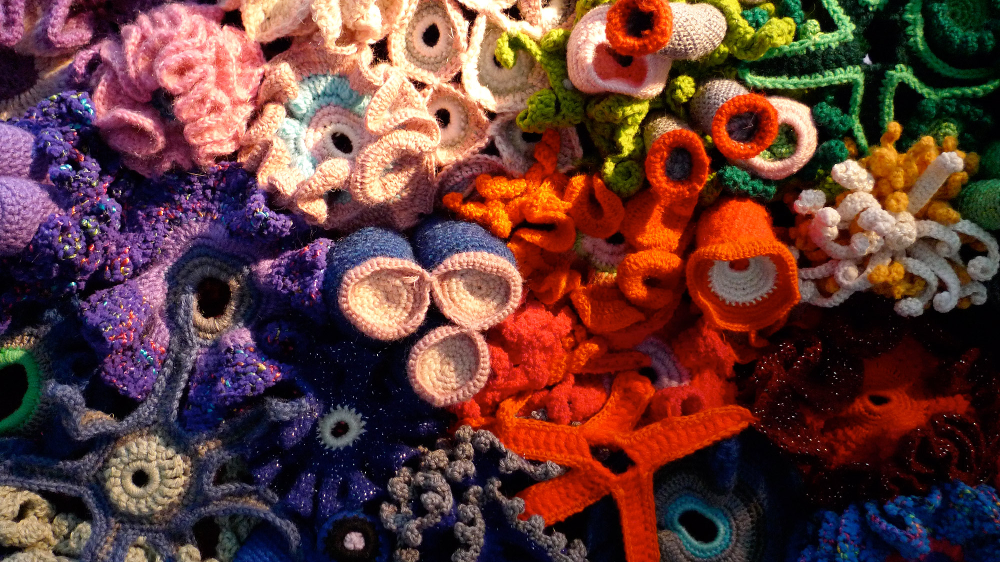 Gallery: What happens when you mix math, coral and crochet? It’s mind ...