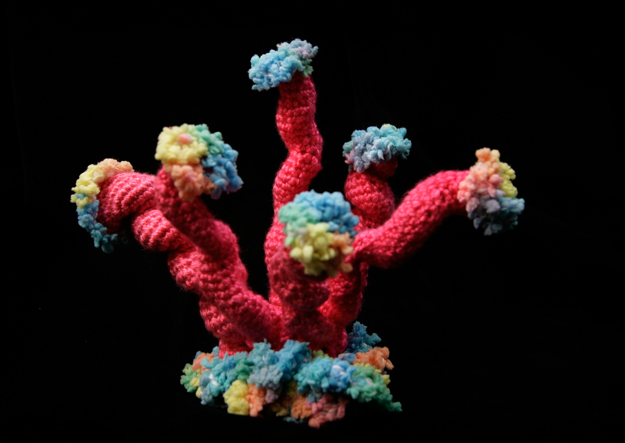 Gallery: What happens when you mix math, coral and crochet? It’s mind ...