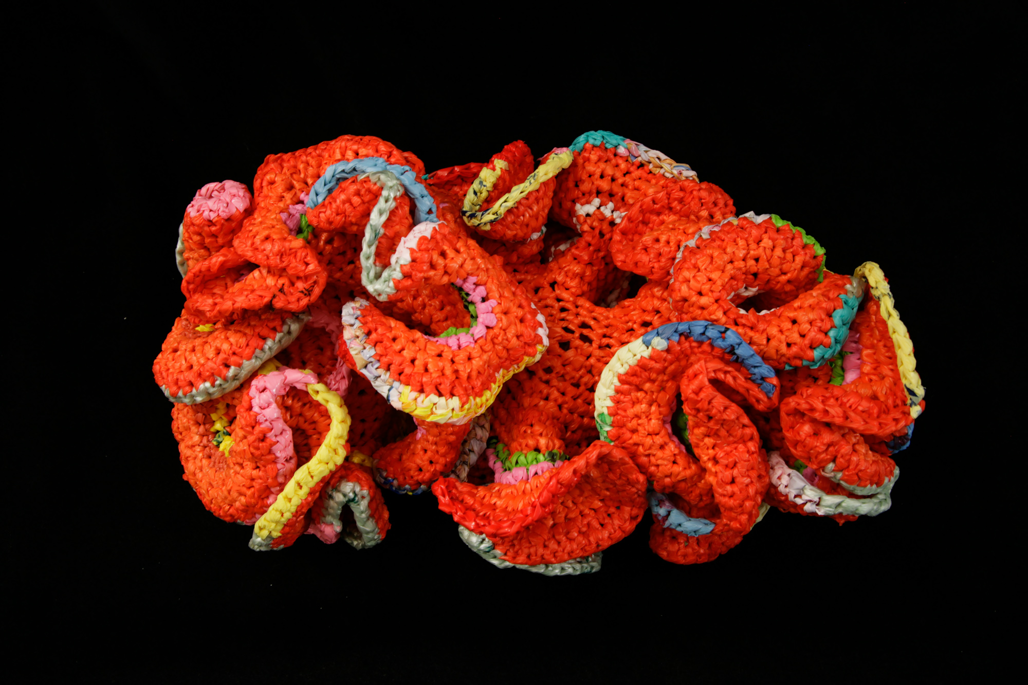 Gallery: What happens when you mix math, coral and crochet? It’s mind ...