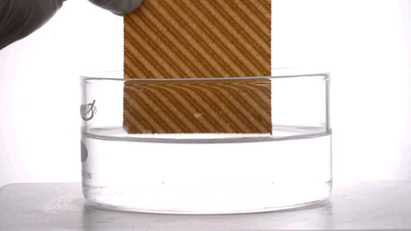 A peek into the brave new world of programmable materials