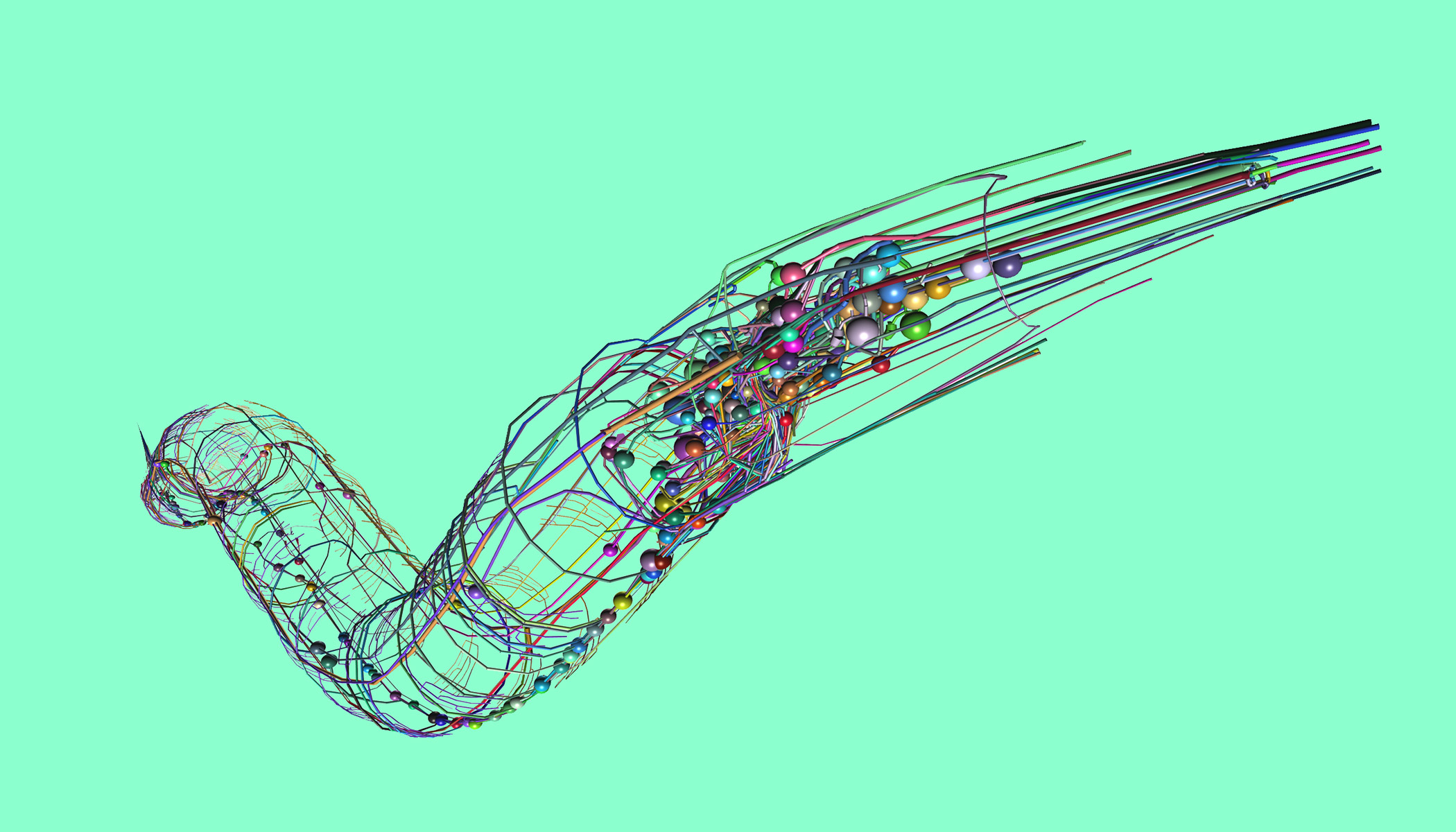 The fascinatingly complex feat of trying to build a virtual worm