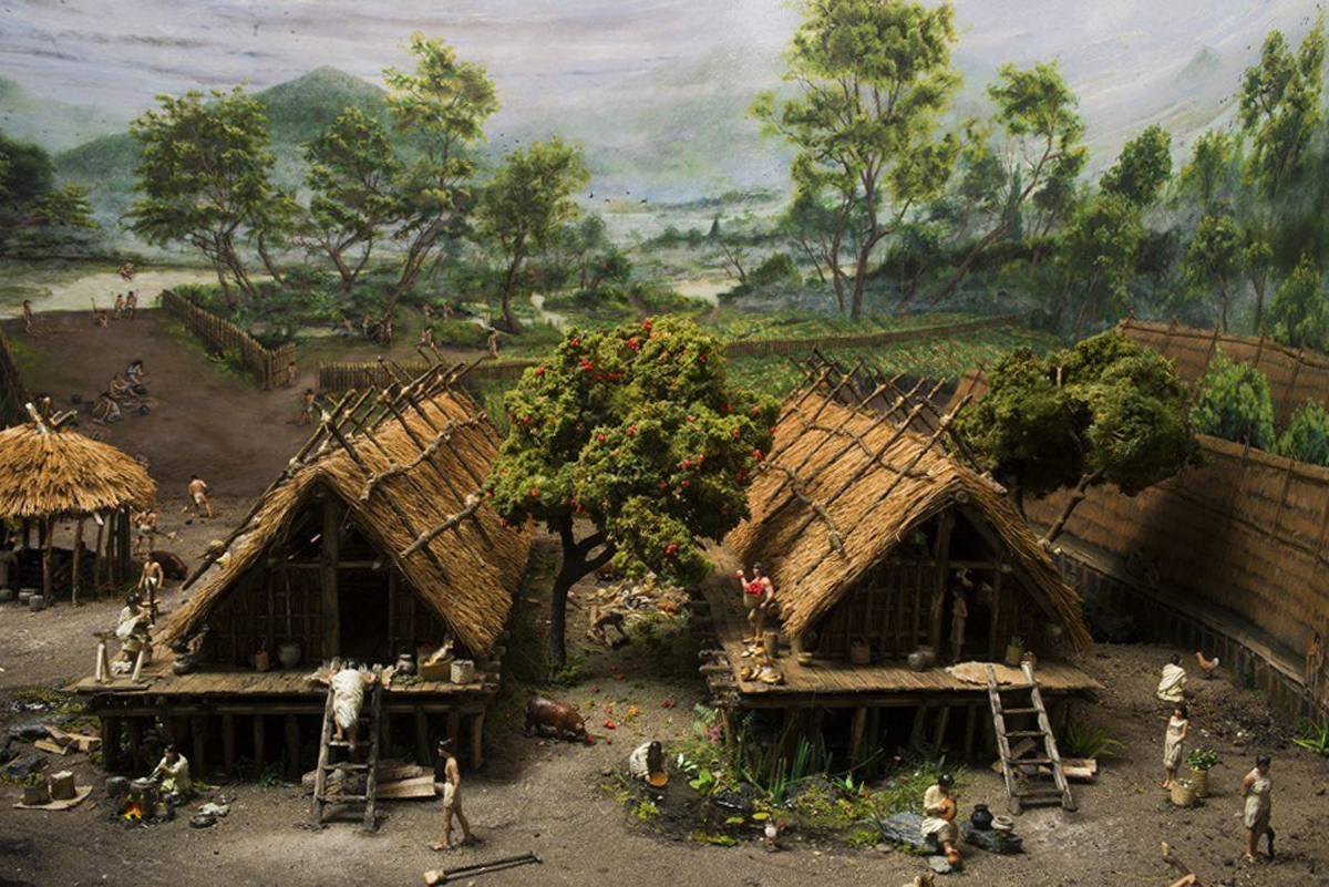 Gallery: The art and science of museum dioramas