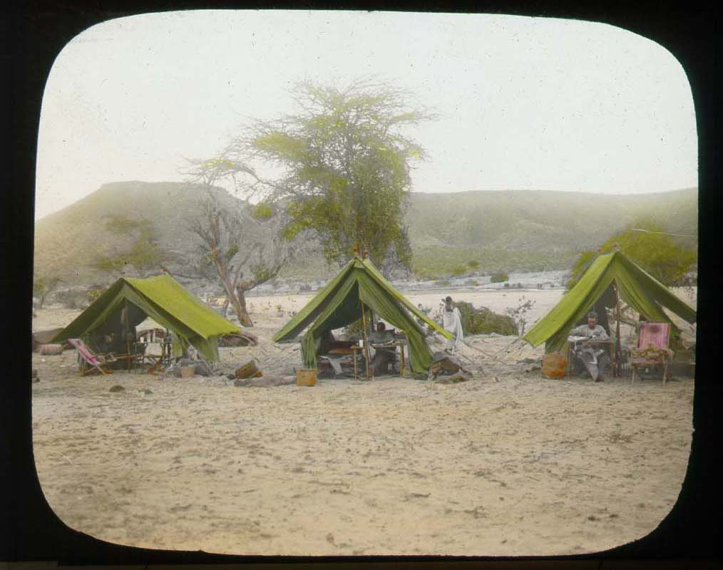 Gallery: The art and science of museum dioramas