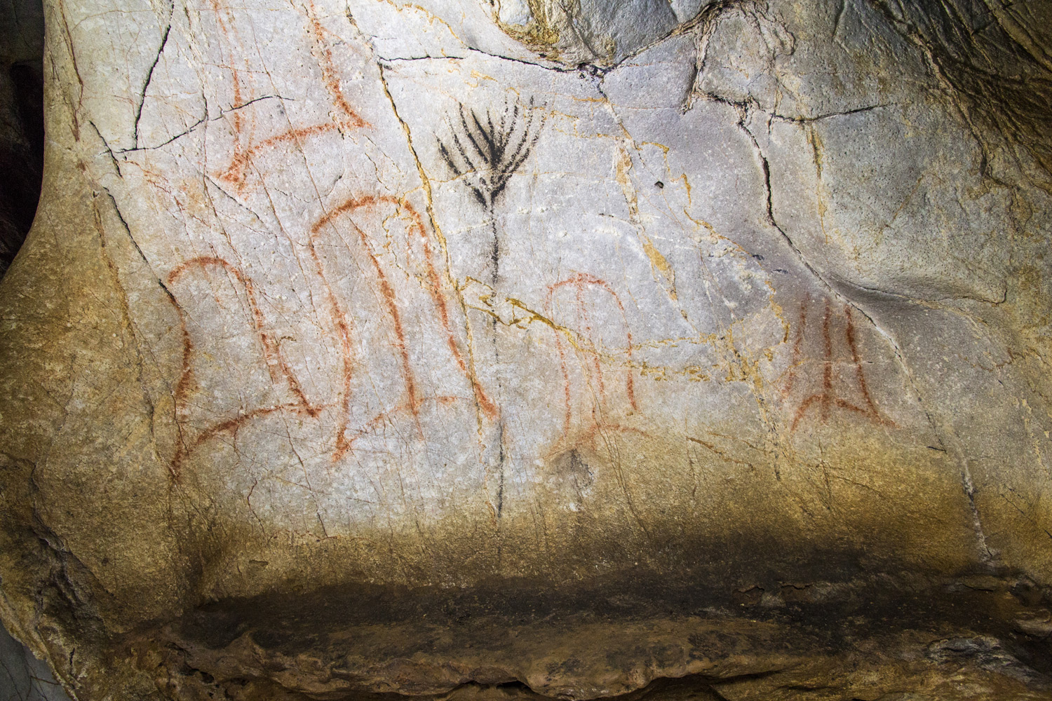 What the mysterious symbols made by early humans can teach us about how ...