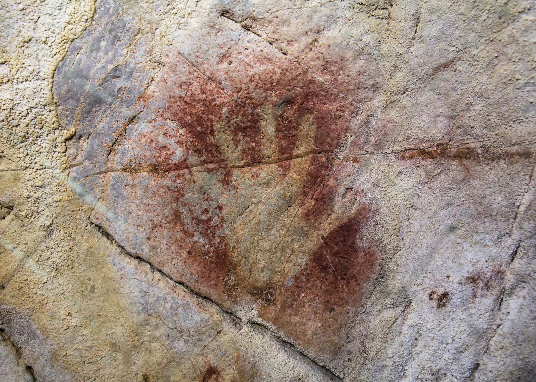 What the mysterious symbols made by early humans can teach us about how ...