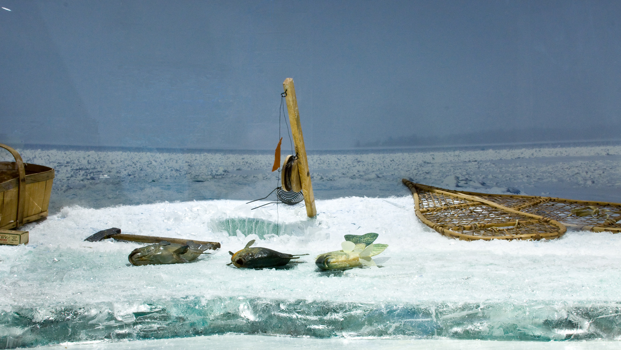 Gallery: The art and science of museum dioramas