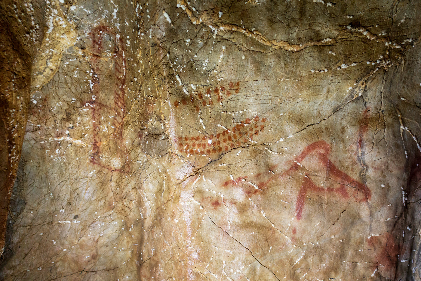 What the mysterious symbols made by early humans can teach us about how ...