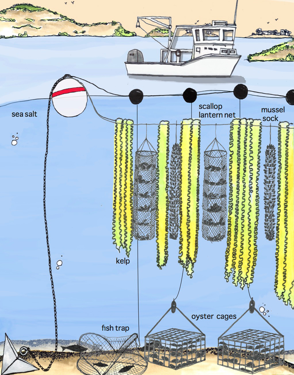 Vertical ocean farms that can feed us and help our seas
