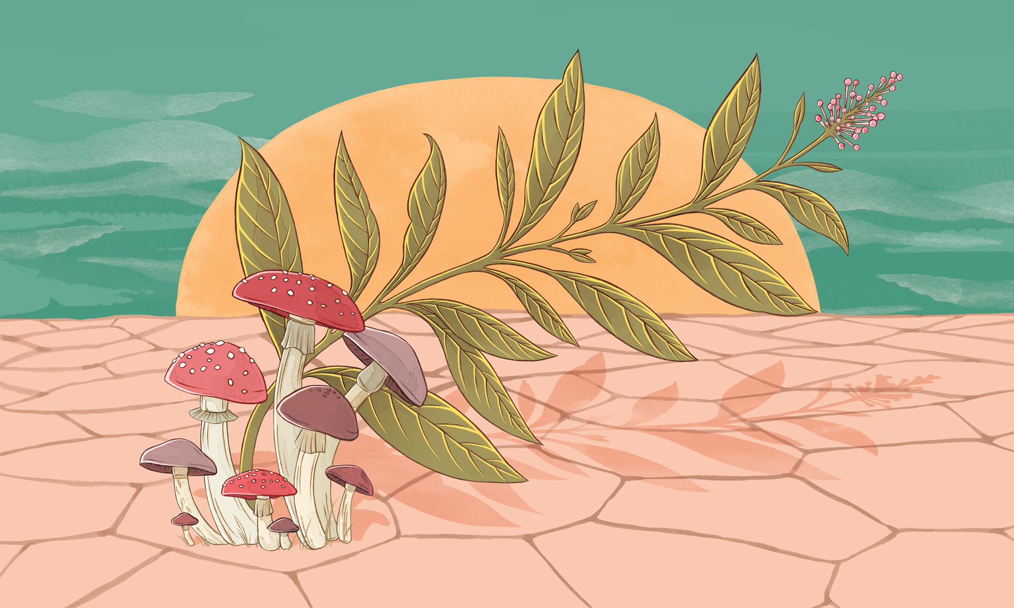 The surprising plant-fungi relationship that could help feed us, even ...