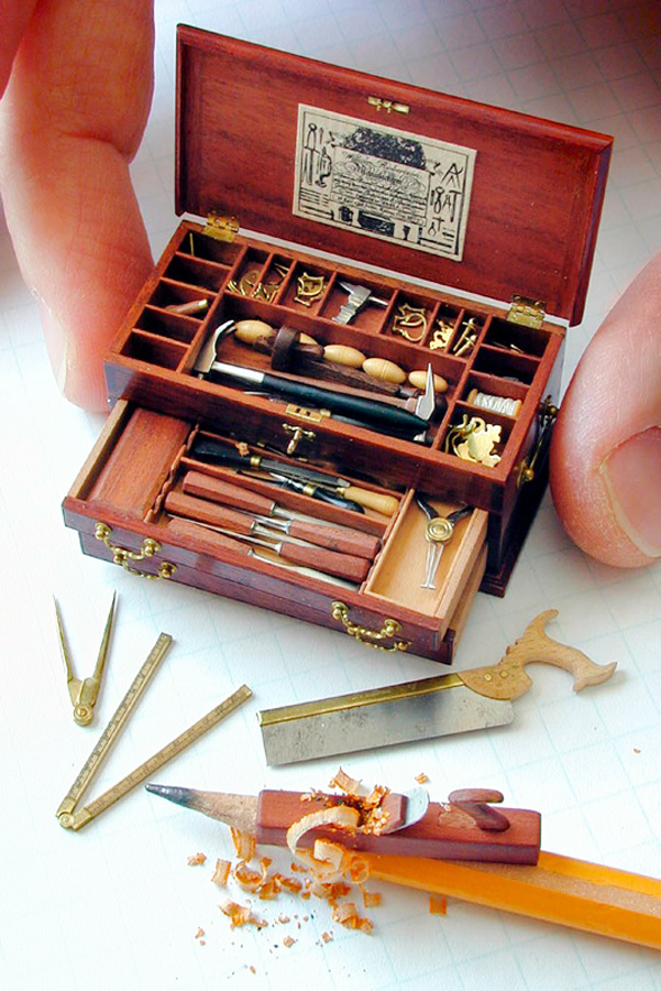 The beauty is in the details: A peek inside the amazing world of a ...