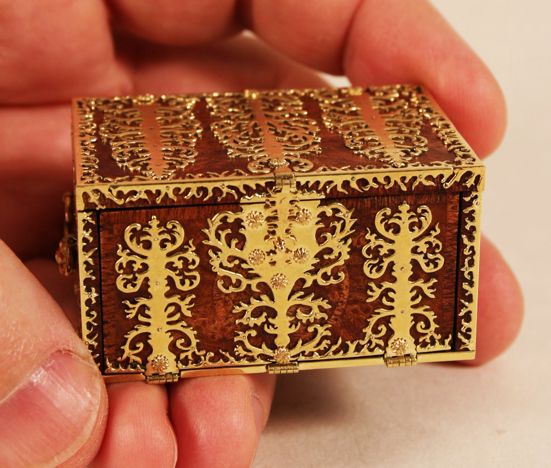 The beauty is in the details: A peek inside the amazing world of a ...