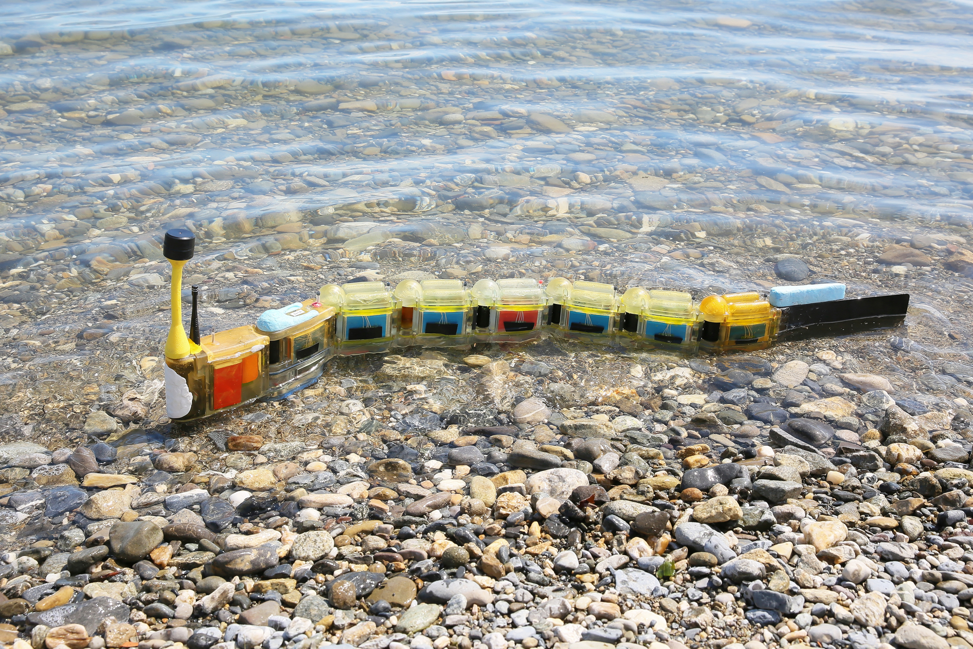 This amazing robot swims like an eel AND detects pollution