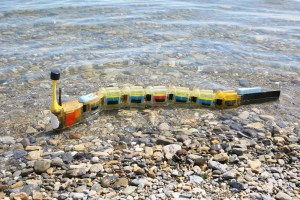 This amazing robot swims like an eel AND detects pollution