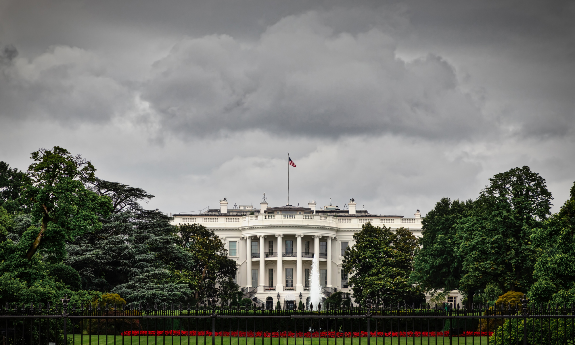 How does impeachment work? A quick TED explainer