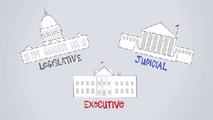 How does impeachment work? A quick TED explainer