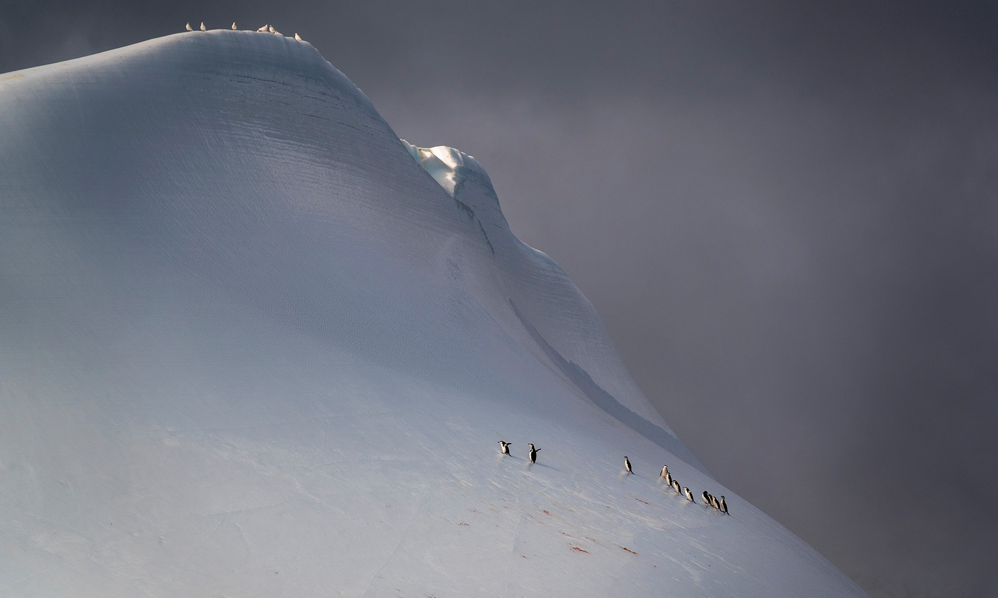 6 public art projects that make climate change up close and personal