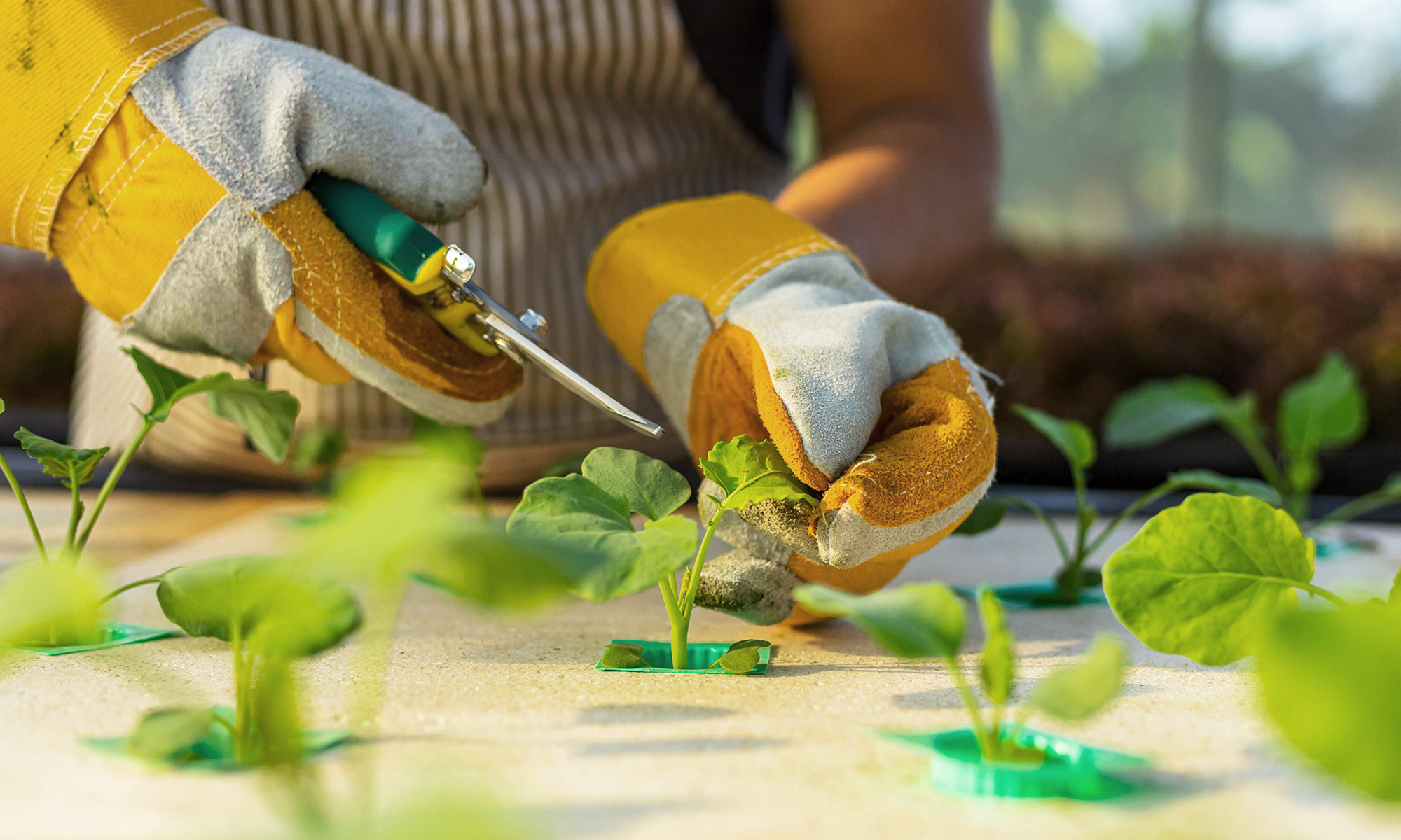 7 in-demand green jobs that are key to a fossil fuel-free future