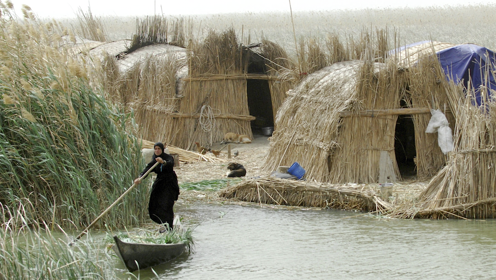 Photo gallery: How Indigenous natural technologies can help us adapt to ...