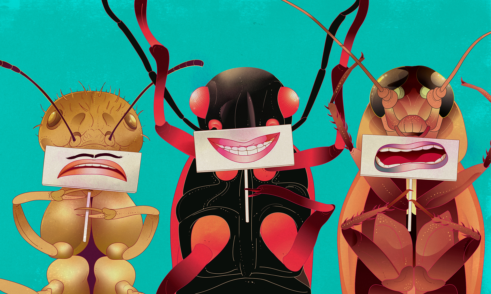 Do insects have personalities? Yes they do, says this researcher