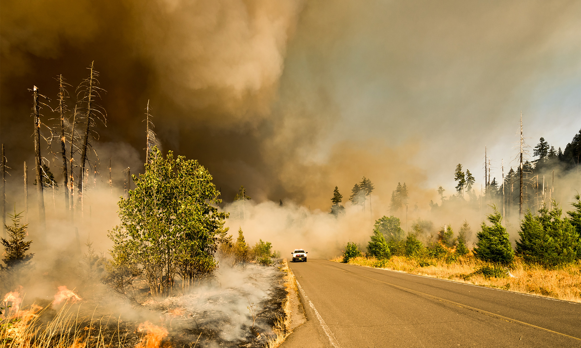 Here’s how wildfire smoke affects the body — and how you can protect ...
