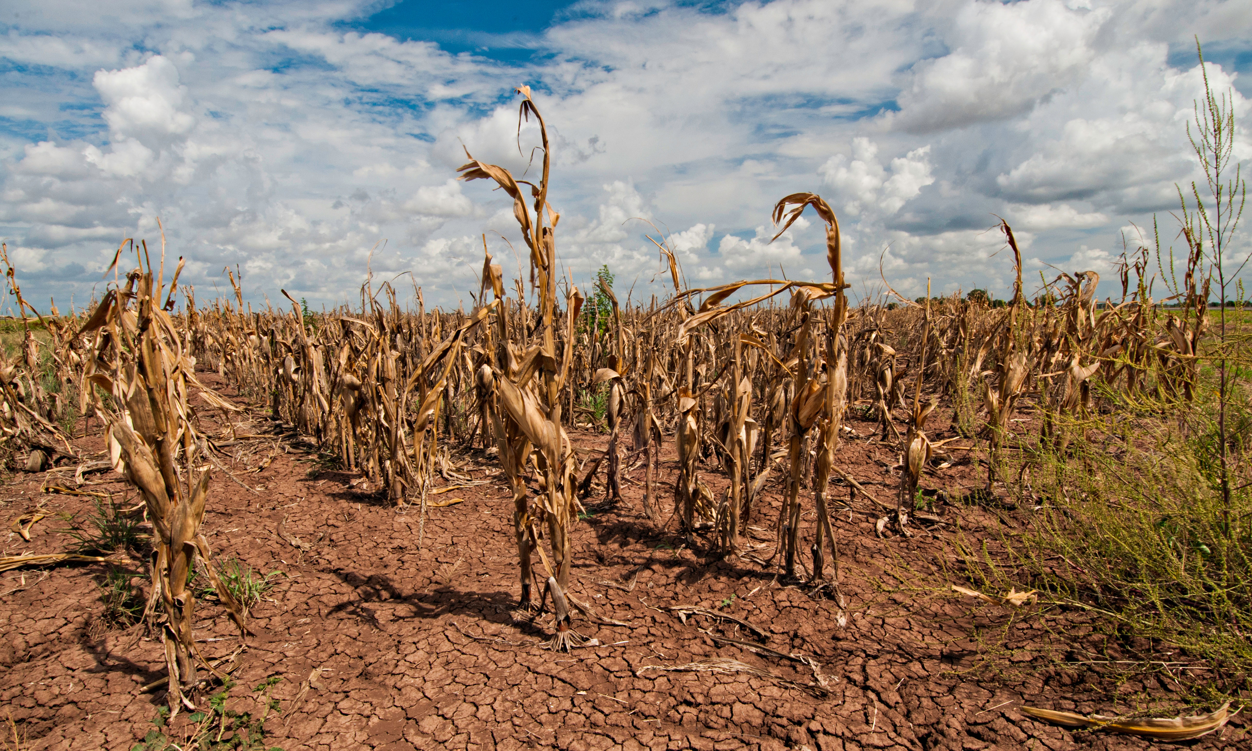 We’re facing famine, extinction, natural disasters: 3 takeaways from ...