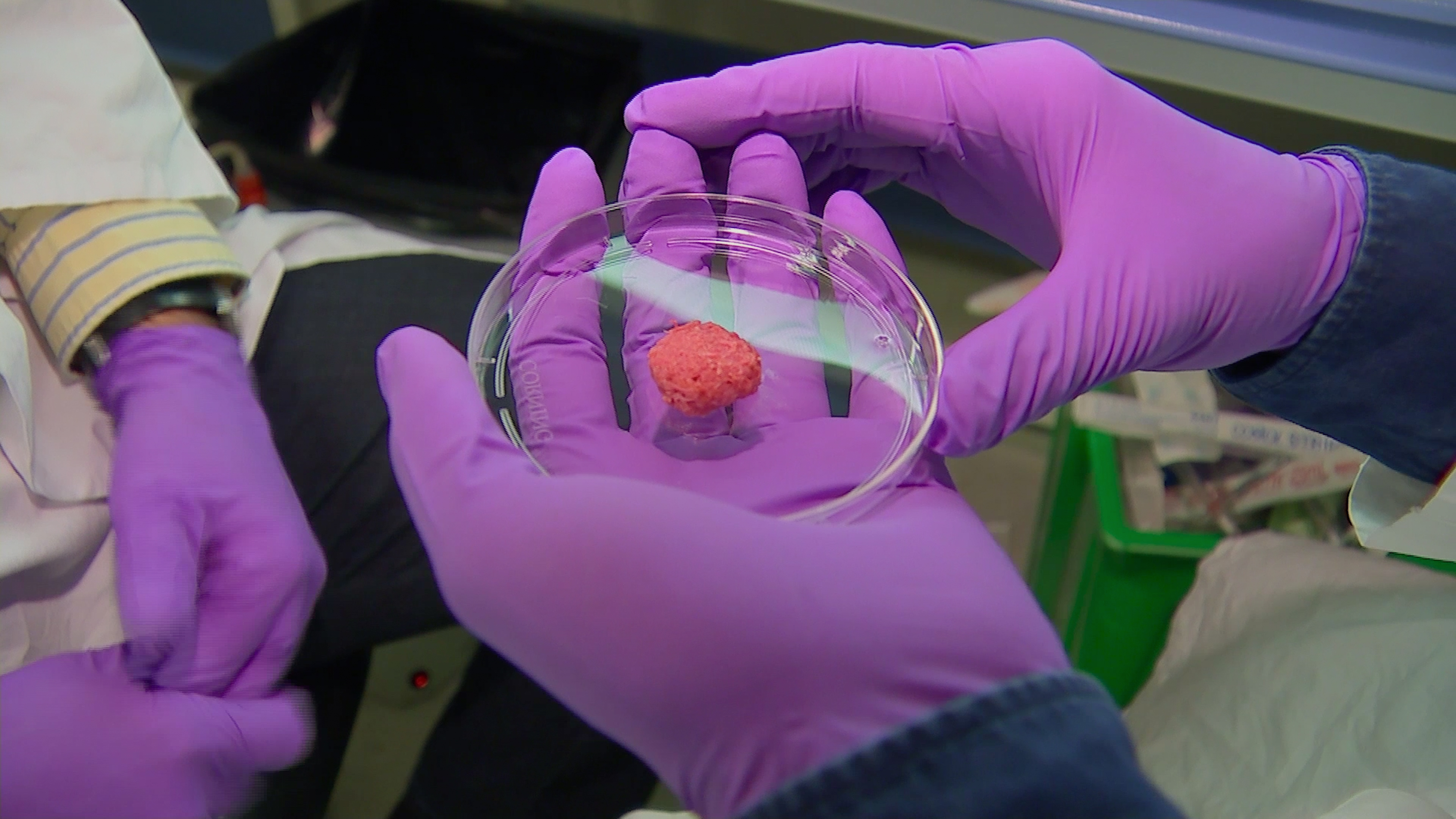 8 mouthwatering TV shows and movies about the future of food and our ...